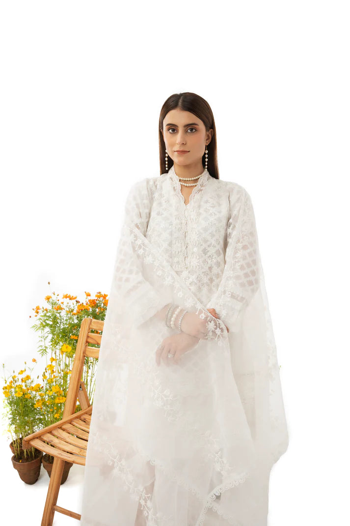 STELLA - ARFA RIWAJ - 3 PIECE - EMBROIDERED ORGANZA JACQUARD SUIT ...